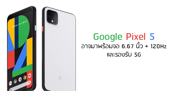 Google Pixel 5 อาจมาพร้อมจอ 6.67 นิ้ว พร้อม Refresh Rate 120Hz และ ...