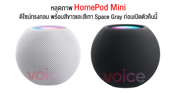 หลุดภาพ HomePod Mini ดีไซน์ทรงกลม ในสีขาวและสีเทา Space Gray ก่อน ...