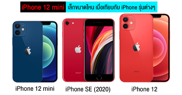 iPhone 12 mini เล็กขนาดไหนเมื่อเทียบกับ iPhone รุ่นต่างๆ