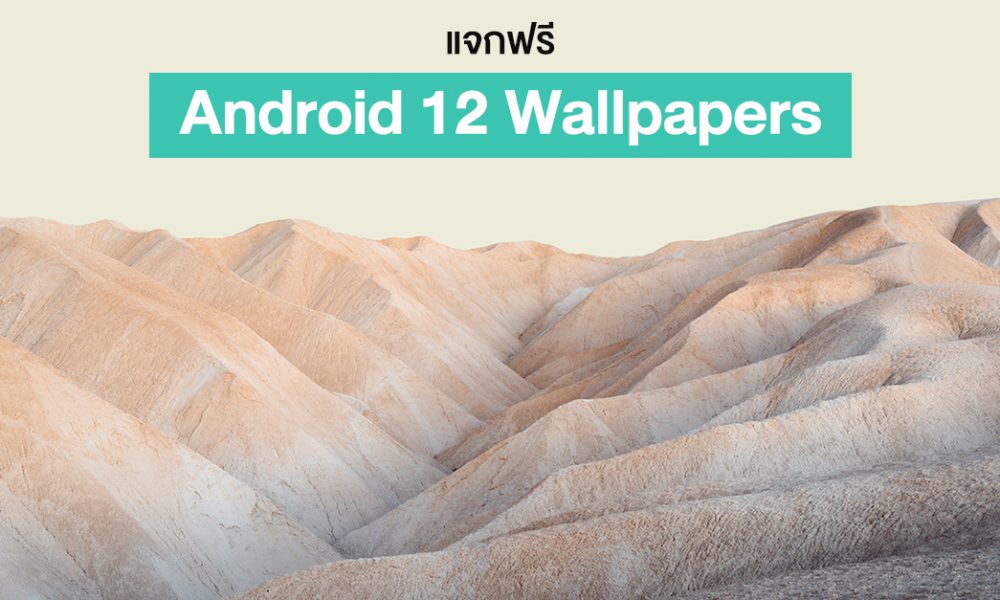 ดาวน์โหลด Android 12 Wallpaper กว่า 7 แบบ แจกฟรีที่นี่