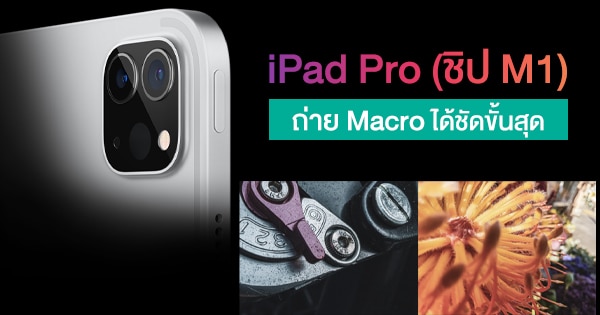 นักพัฒนาของ Halide ค้นพบ iPad Pro ชิป M1 ถ่าย Macro ได้ขั้นสุดยอด!!