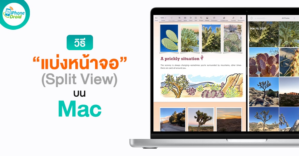 How To วิธีแบ่งหน้าจอแอป (Split View) บน Mac