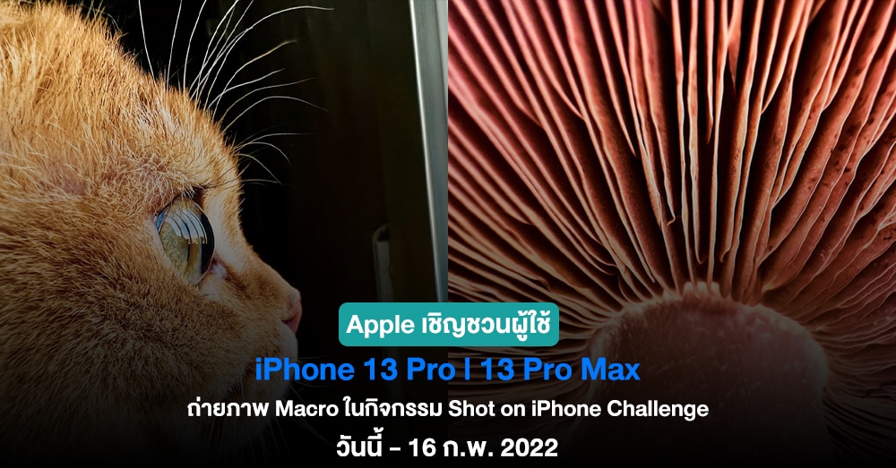 Apple เชิญชวนผู้ใช้ iPhone 13 Pro และ 13 Pro Max มาถ่ายภาพกิจกรรม Shot ...