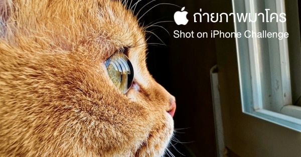 Apple ชวนผู้ใช้ iPhone 13 Pro | 13 Pro Max มาถ่ายภาพสิ่งเล็กๆ ด้วยโหมด ...