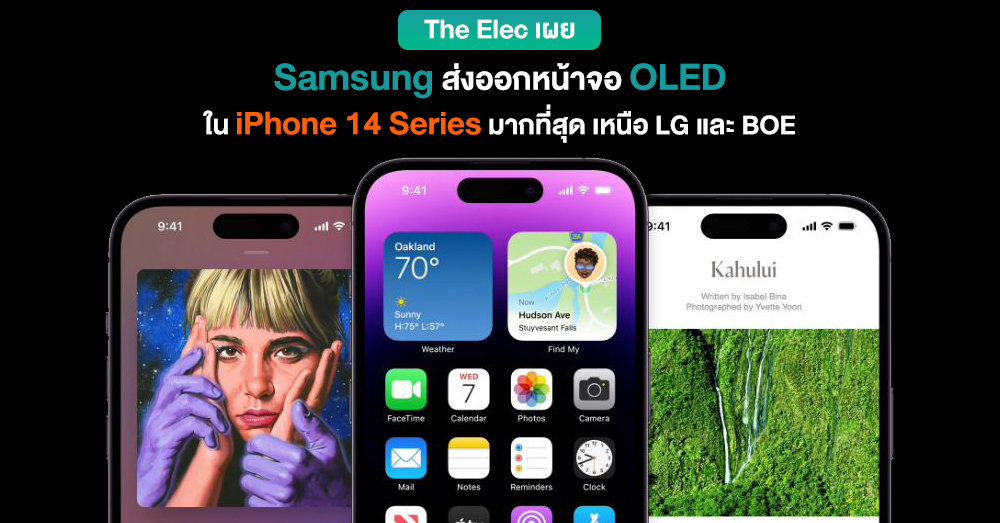 The Elec เผย Samsung เป็นบริษัที่ผลิตหน้าจอ OLED ให้กับ iPhone 14 Series มากที่สุด