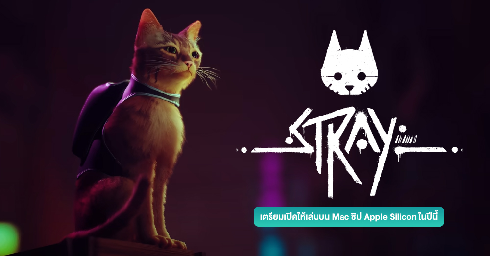 "Stray" เกมน้องแมวผจญภัยชื่อดังเตรียมปล่อยให้เล่นบน Mac ชิป Apple Silicon ในปีนี้