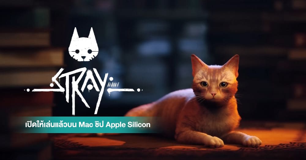 "Stray" เกมผจญภัยสำหรับทาสแมวชื่อดังพร้อมเปิดให้เล่นแล้วบน Mac ชิป Apple Silicon